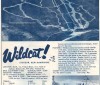 Wildcat Mountain History - New Hampshire - NewEnglandSkiHistory.com